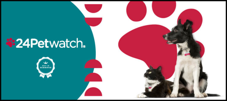The 4 Best Pet Health Insurers in Winnipeg [2026]