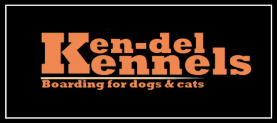 7 Best Kennel Services in Winnipeg [2026 ]