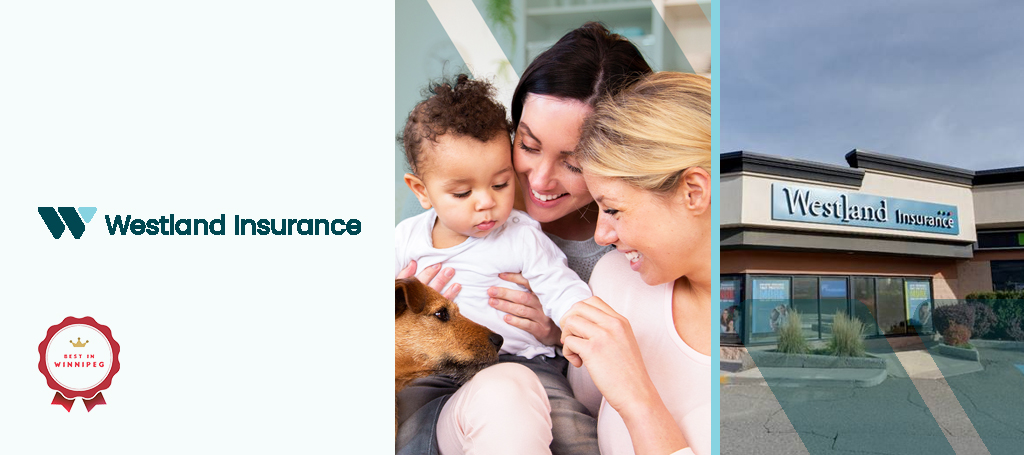 The 5 Best Insurance Brokers in Winnipeg [2025]
