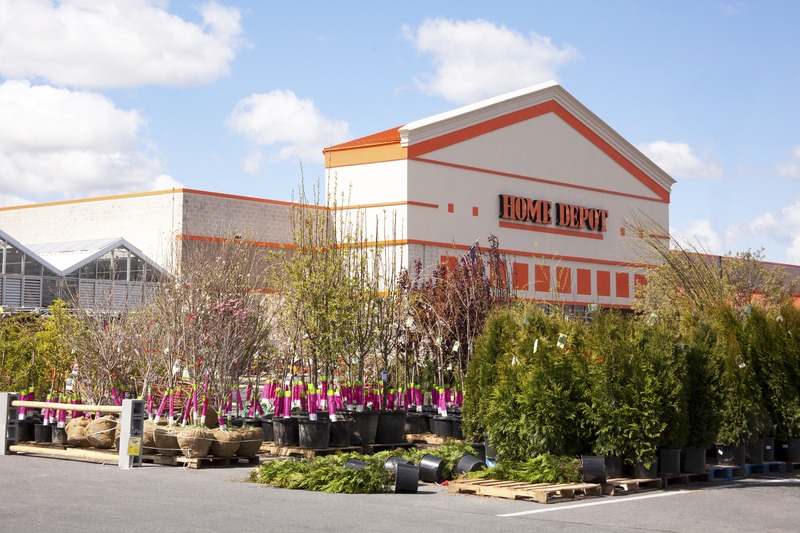 Best Stores to Buy Christmas Trees in Winnipeg [2026 ]
