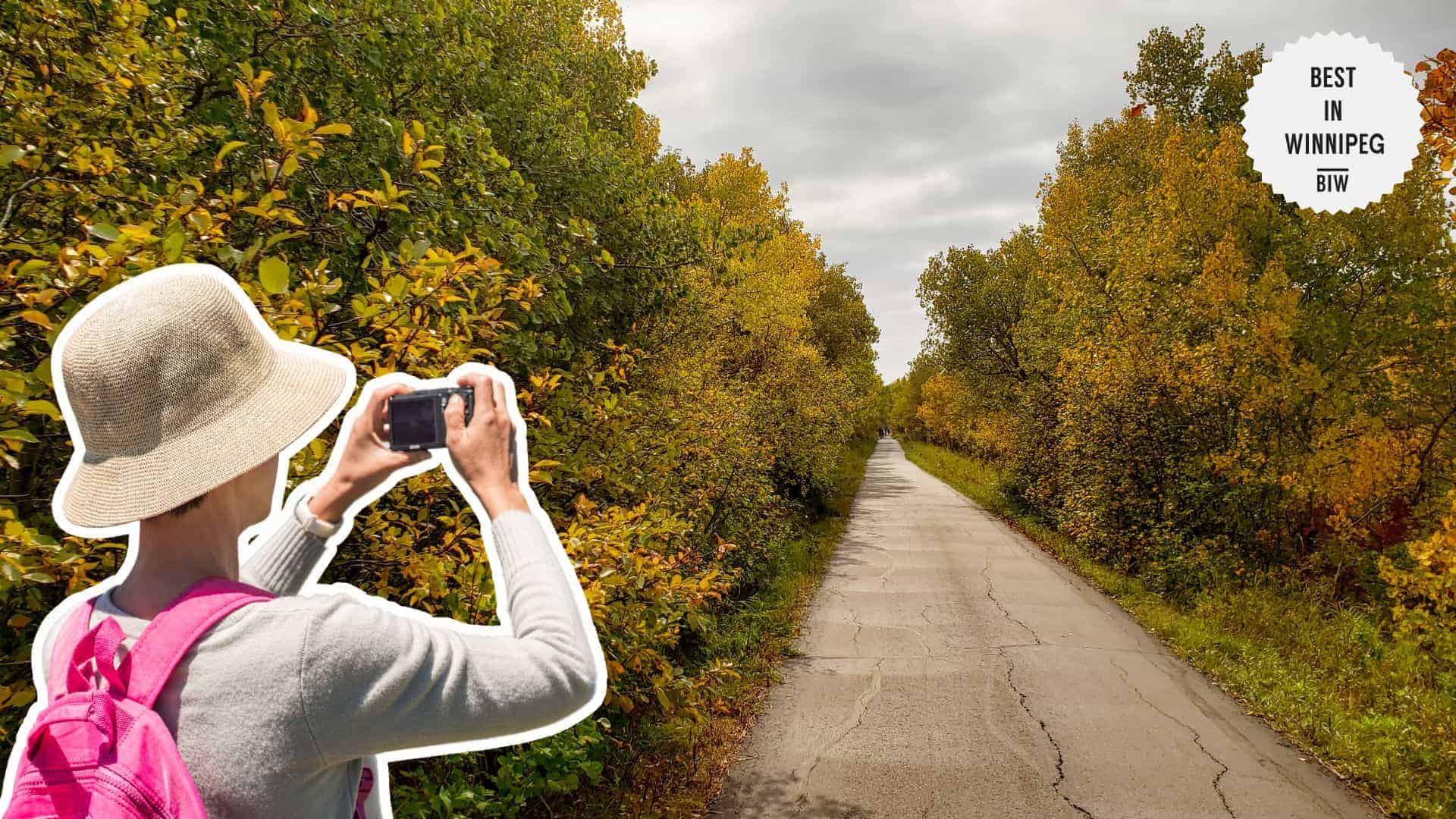 Assiniboine Forest: Your Guide to a Day Trip from Winnipeg [2026 ]