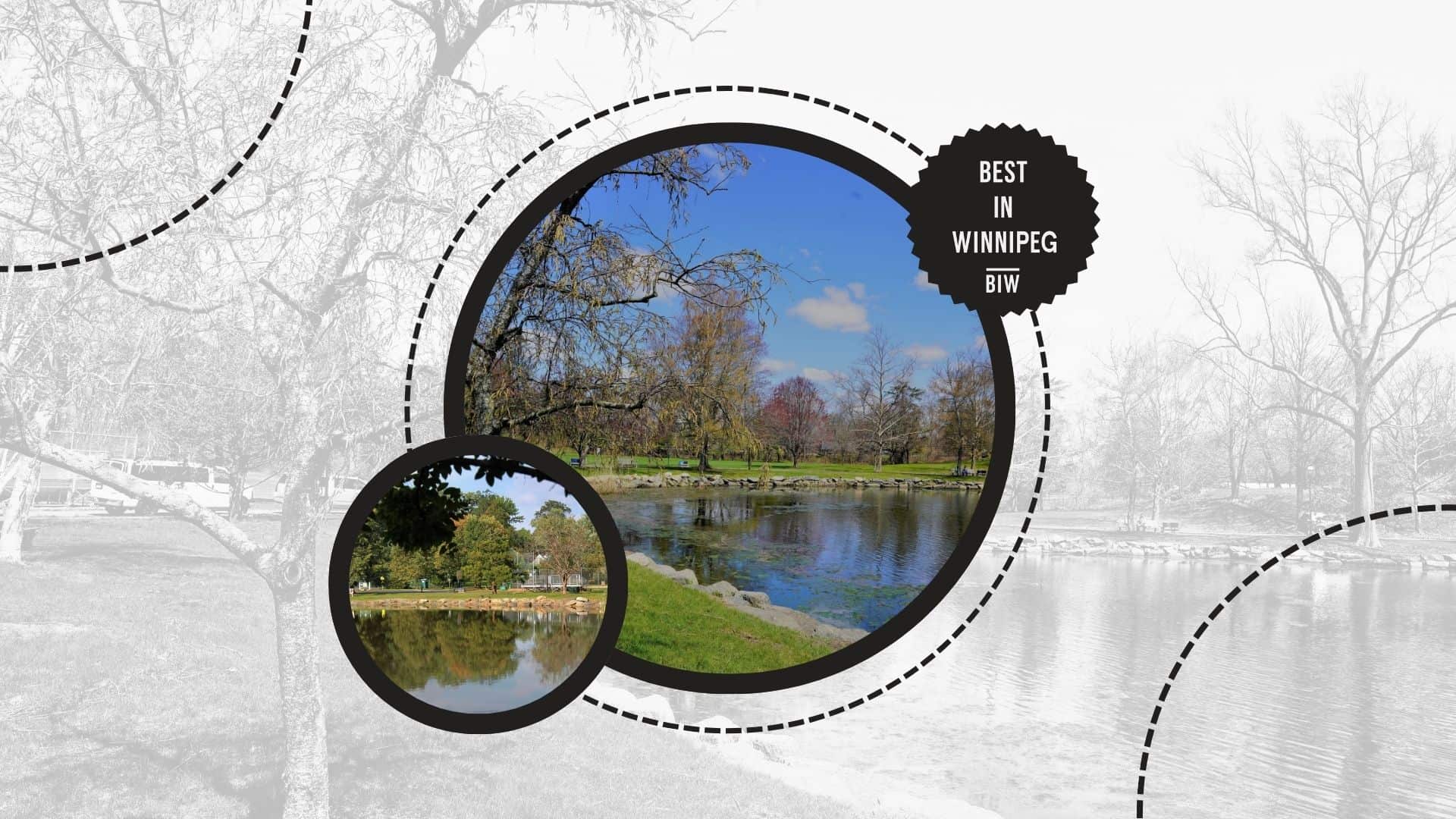 Why Bruce Park Is the Ultimate Spot for a Day Out [2026 ]