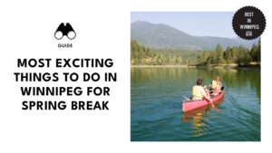 8 Must-Do Activities for a Fun Spring Break in Winnipeg [2026 ]