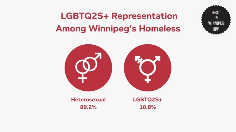 Analyzing Winnipeg's Homelessness With Data and Insights