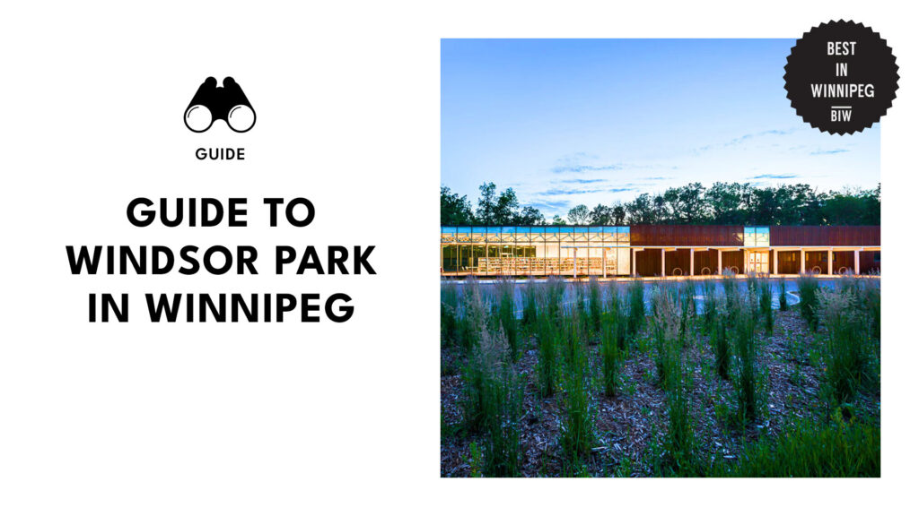 How to Explore Windsor Park in Winnipeg Like a True Local [2026 ]