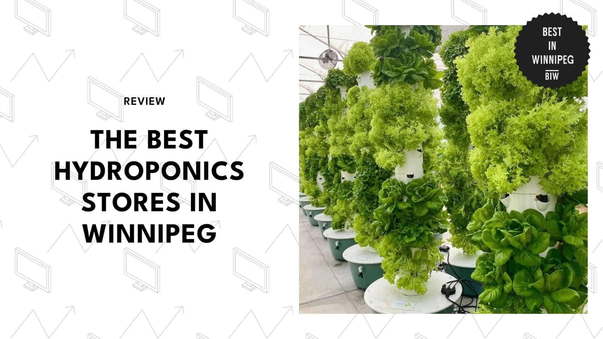 5 Hydroponic Stores in Winnipeg That Urban Gardeners Love [2026 ]